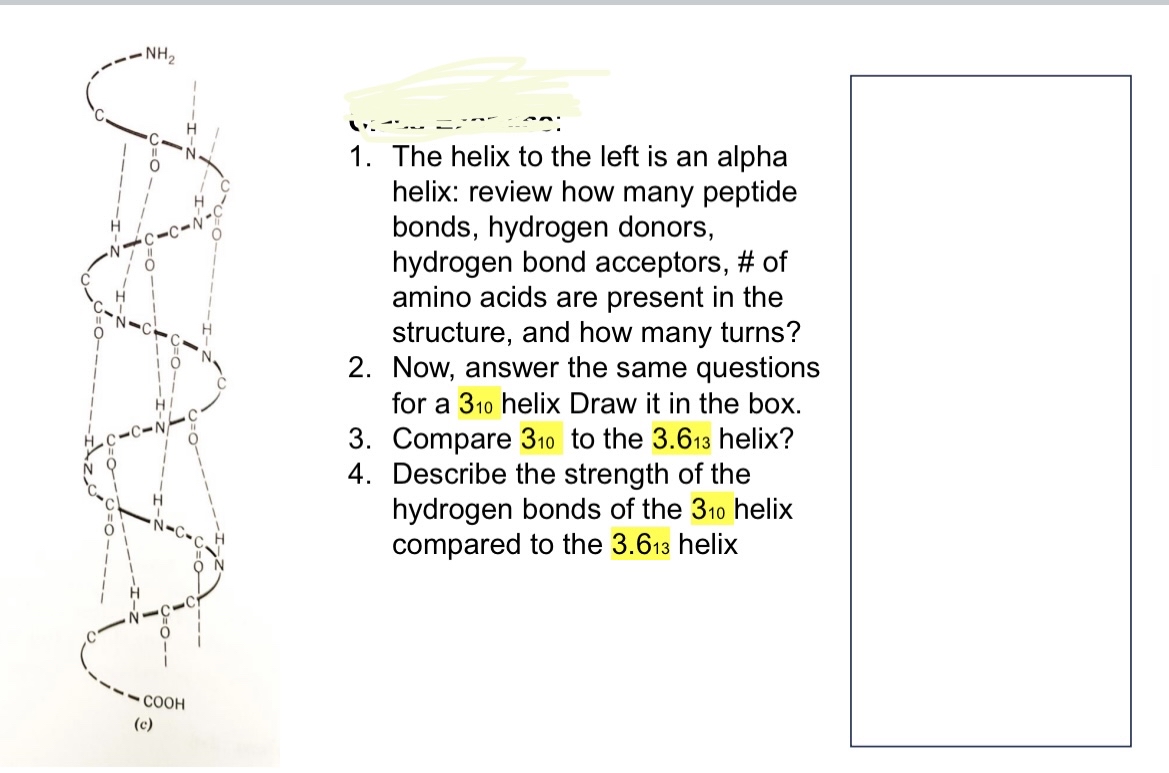(c)The helix to the left is an alpha helix: review | Chegg.com
