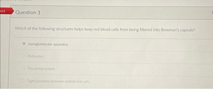 Solved Which of the following structures helps keep red | Chegg.com
