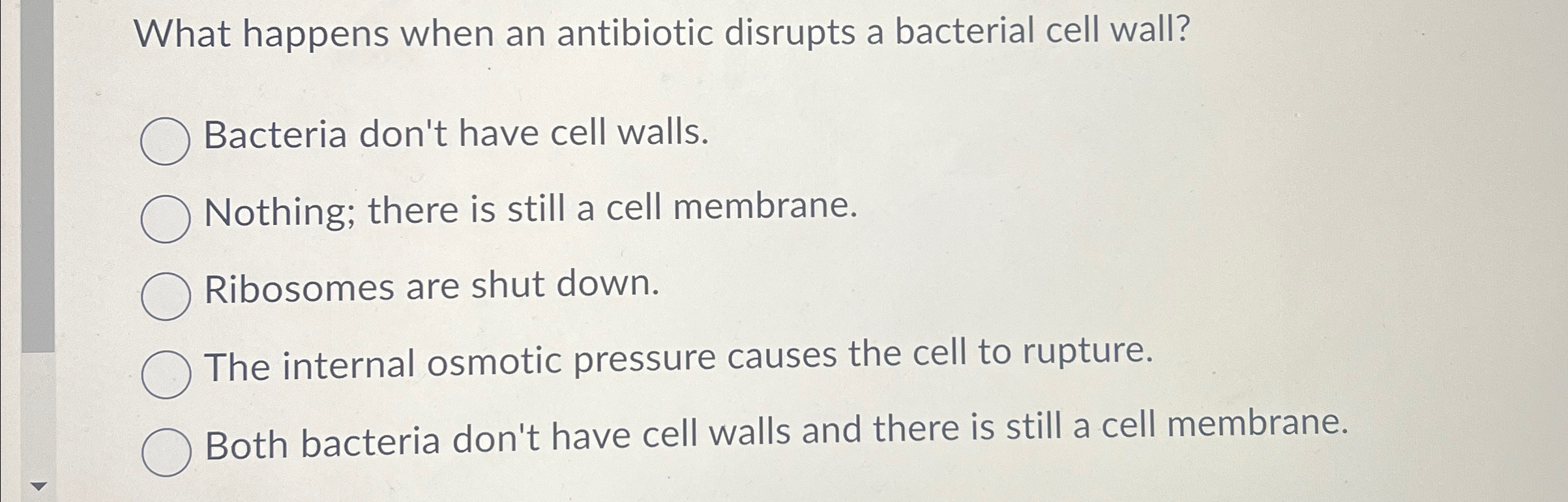Solved What happens when an antibiotic disrupts a bacterial | Chegg.com