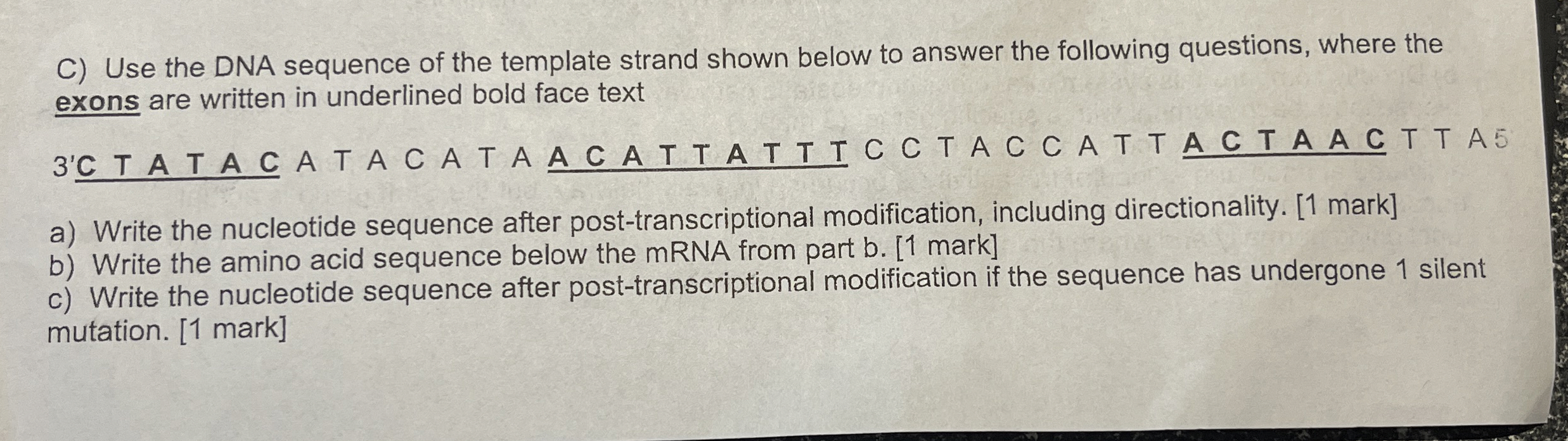 Solved C) ﻿Use the DNA sequence of the template strand shown | Chegg.com