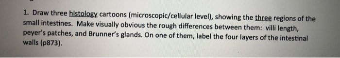 Solved 1. Draw three histology cartoons | Chegg.com