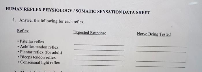 Solved HUMAN REFLEX PHYSIOLOGY/SOMATIC SENSATION DATA SHEET | Chegg.com