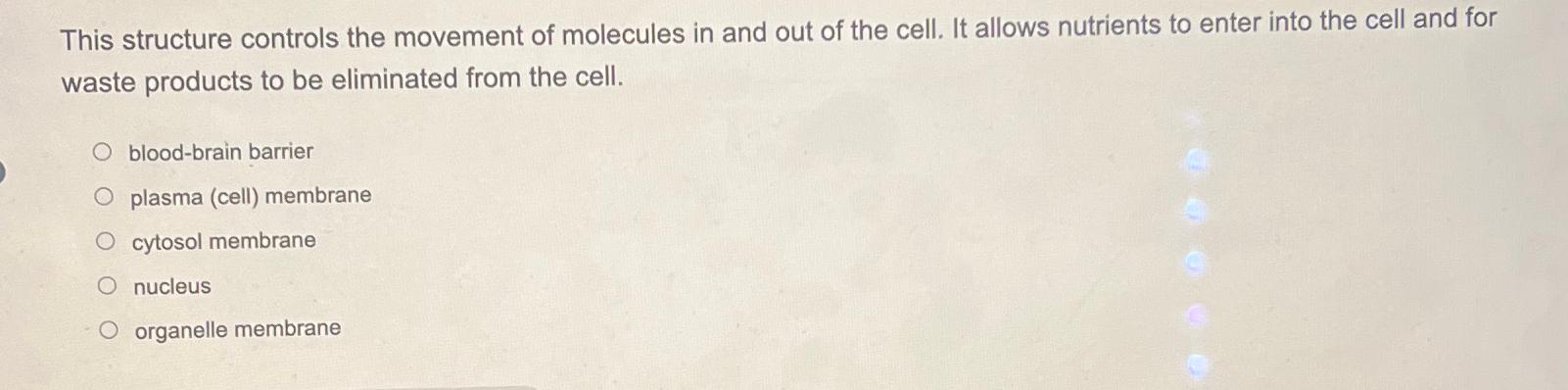 Solved This structure controls the movement of molecules in | Chegg.com