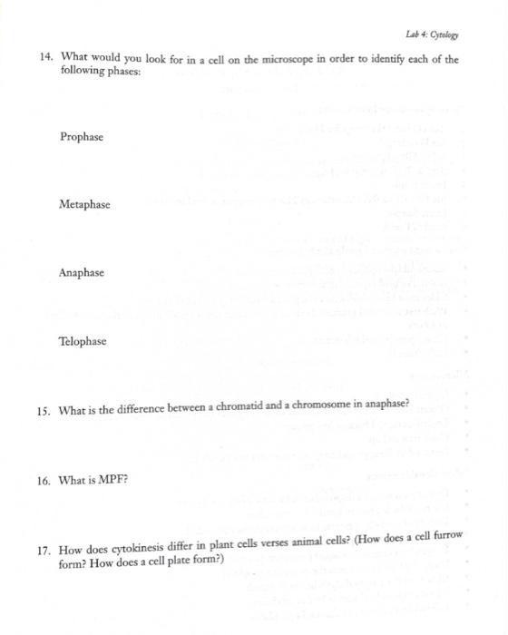 Solved Lab Cytology Bio 4: Mitosis CD worksheet Name 1. How | Chegg.com