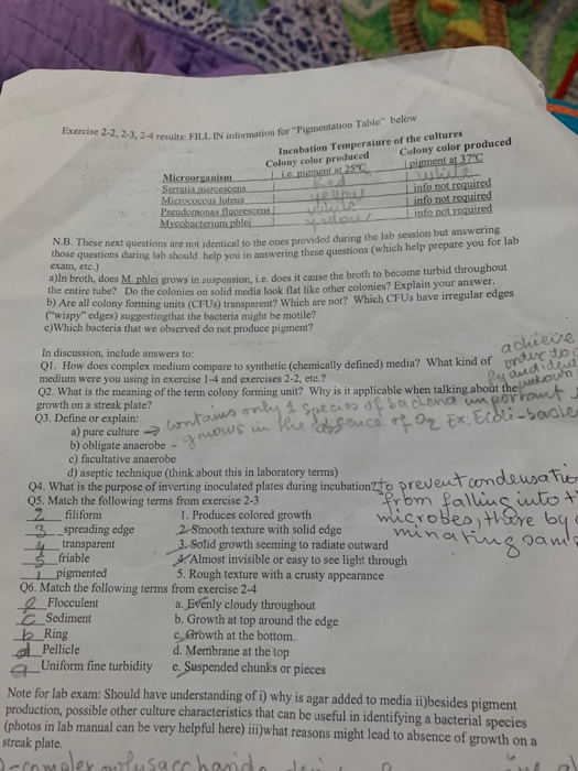 Solved Exercise 2-2,2-3,2-4 results FILL IN Information for | Chegg.com