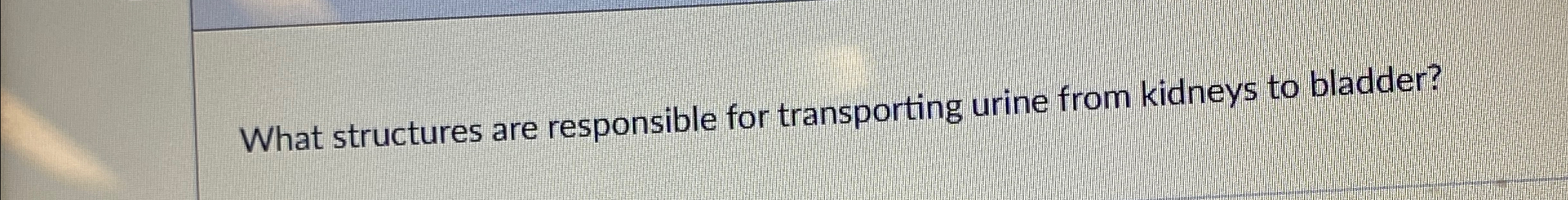Solved What structures are responsible for transporting | Chegg.com