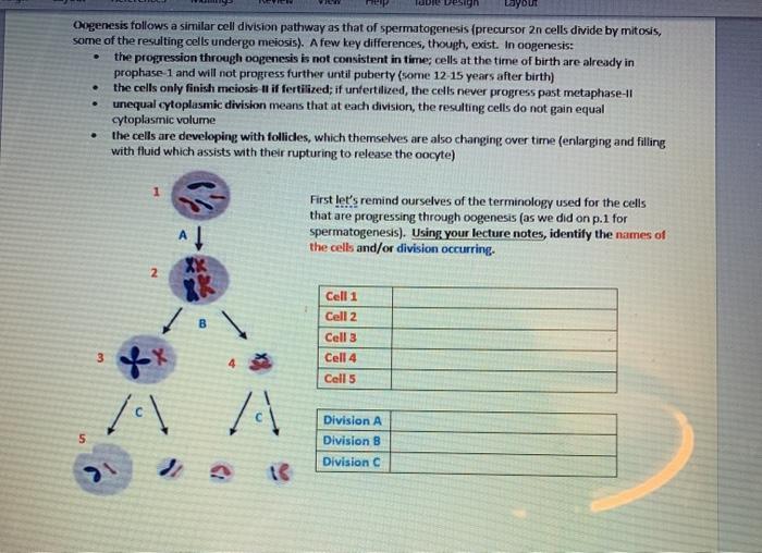 Solved Oogenesis follows a similar cell division pathway as | Chegg.com