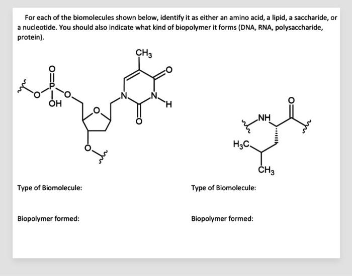 Solved For each of the biomolecules shown below, identify it | Chegg.com