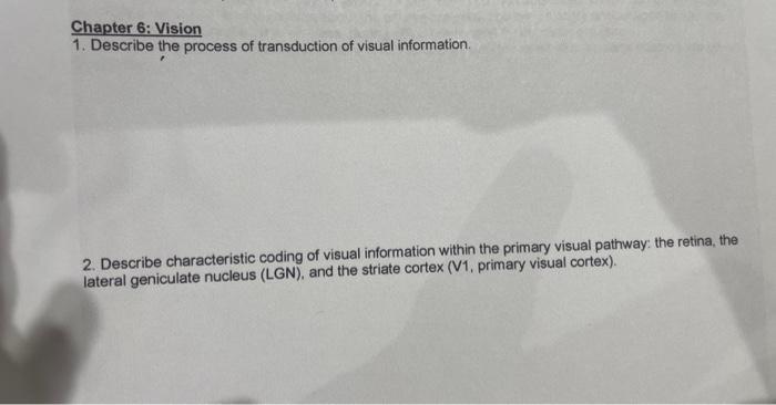 Solved Chapter 6: Vision 1. Describe the process of | Chegg.com