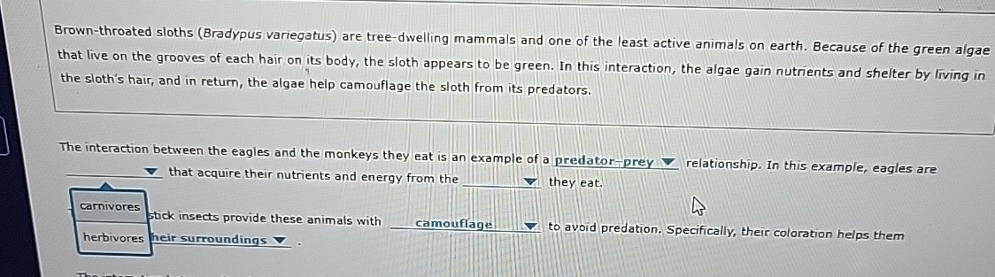 Solved Brown-throated sloths (Bradypus varregatus) ﻿are | Chegg.com