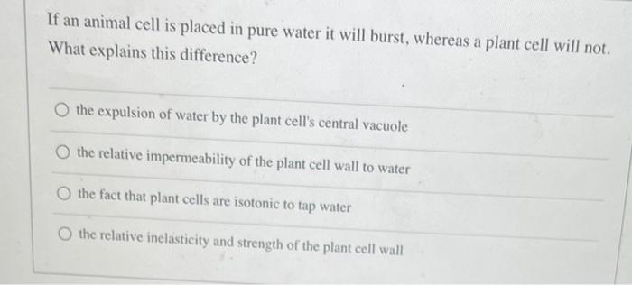 Solved If an animal cell is placed in pure water it will | Chegg.com