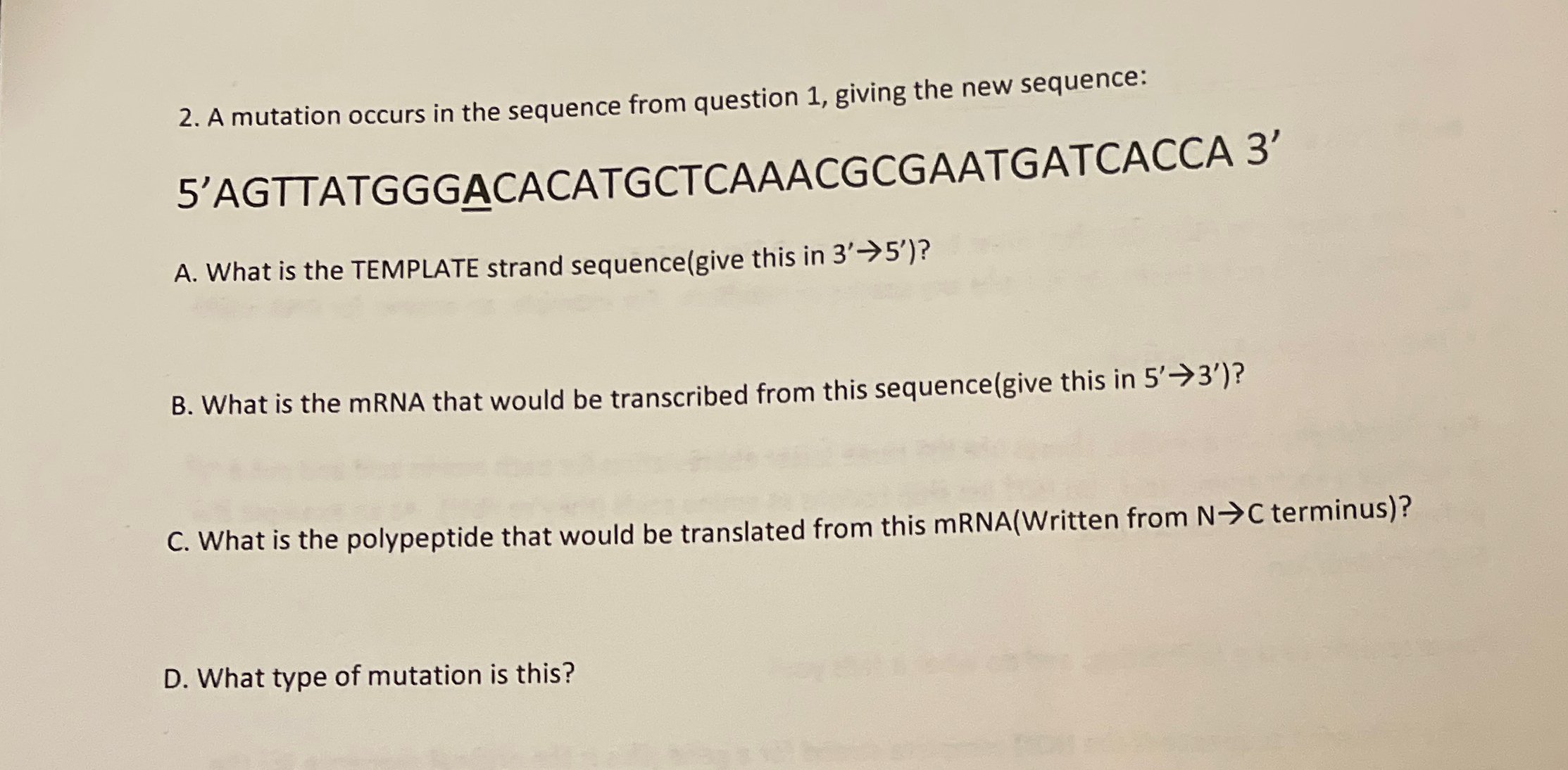 Solved A mutation occurs in the sequence from question 1, | Chegg.com