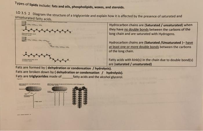 Types Of Lipids Include Fats And Oils Chegg