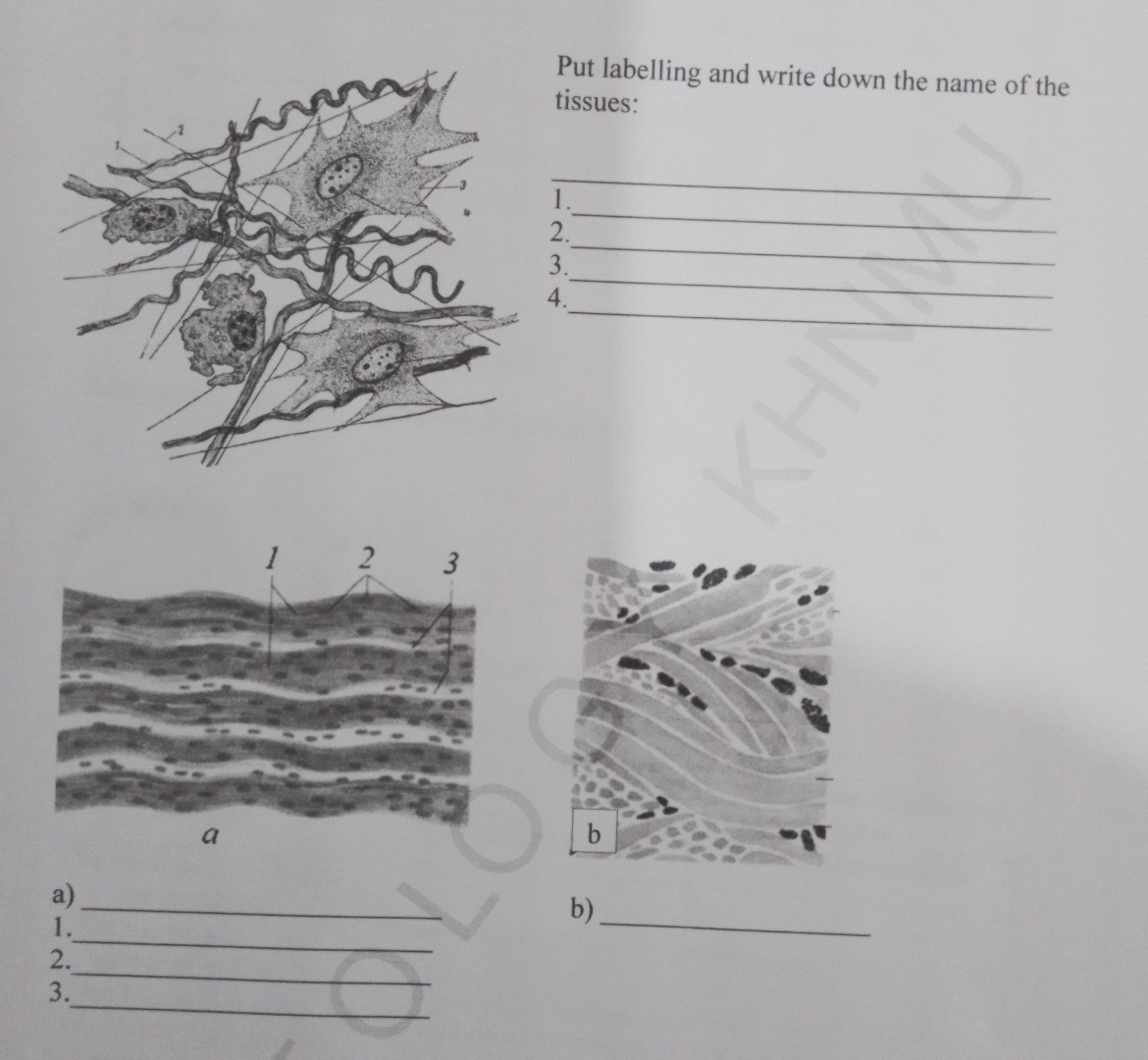 Solved Put labelling and write down the name of the | Chegg.com