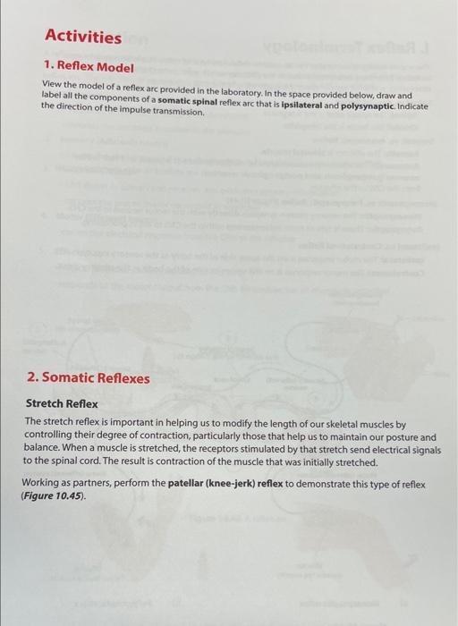 Solved Activities 1. Reflex Model View the model of a reflex | Chegg.com