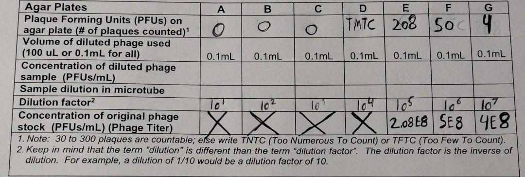 Solved 0.1 ml 0.1ml 0.1ml 0.1ml 0.1ml 0.1mi 0.1ml 101 10-21 | Chegg.com