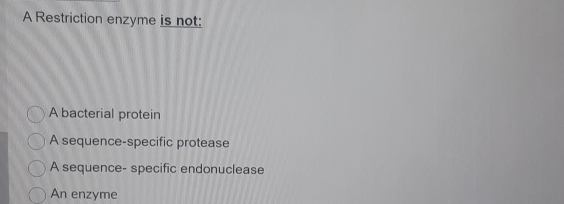 Solved A Restriction enzyme is not:A bacterial proteinA | Chegg.com