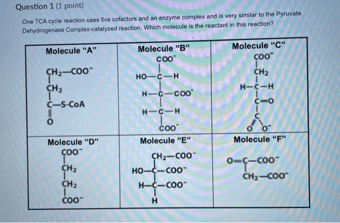 Solved Question 2 (1 point) Coenzyme A (COA-SH) plays an | Chegg.com