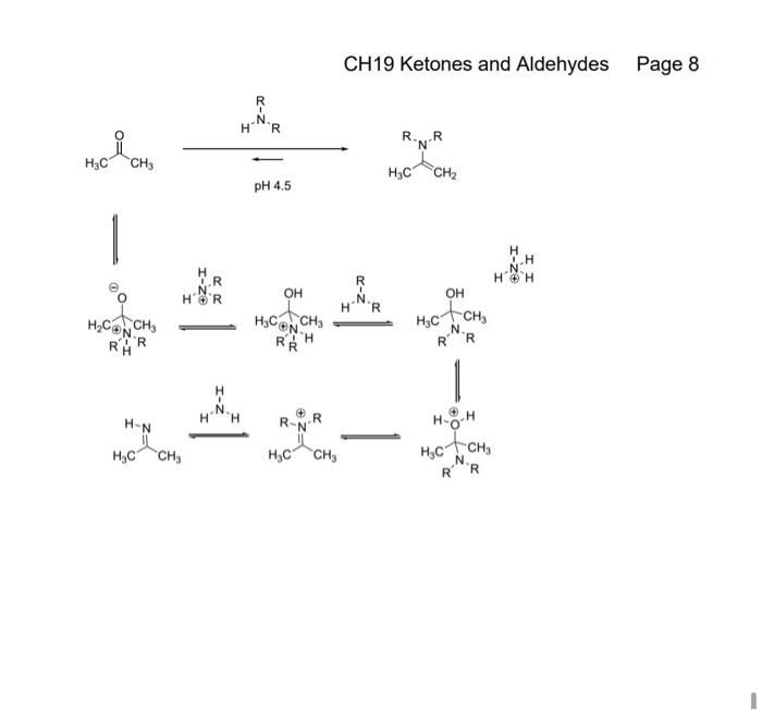 Solved CH19 Ketones and Aldehydes Page 6Provide | Chegg.com