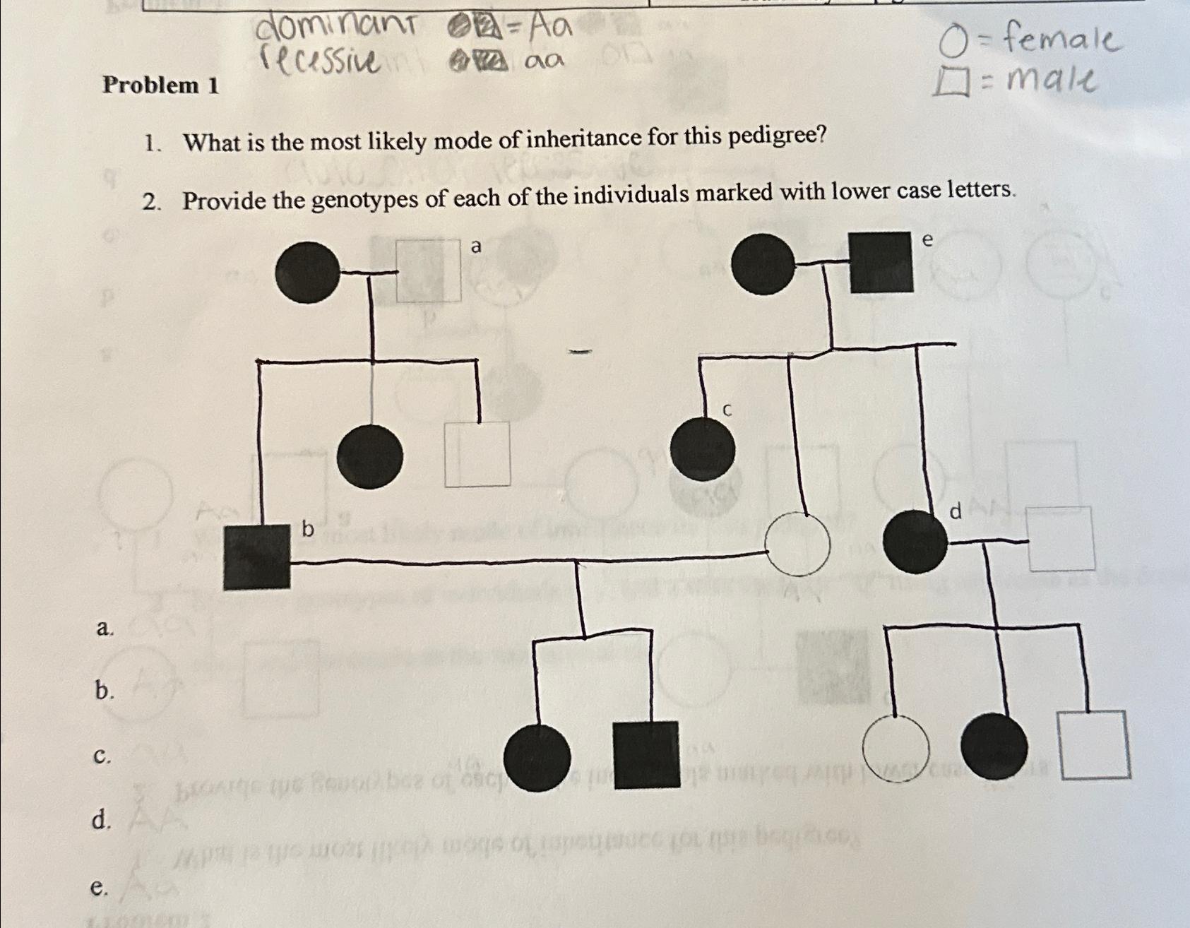 Solved Problem 1 ﻿dominant =Aa ﻿recessive aa0= ﻿female = | Chegg.com