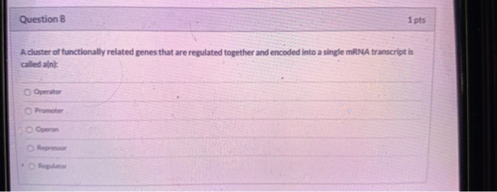 Solved Question 8 1 pts A cluster of functionally related | Chegg.com