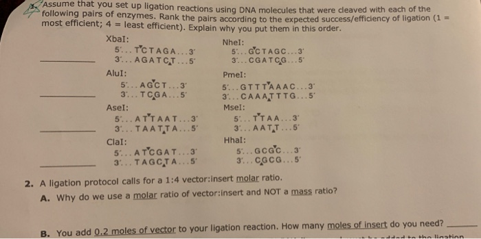 Solved Assume that you set up ligation reactions using DNA | Chegg.com