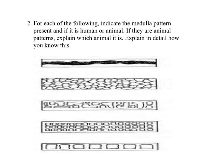 Solved 1. For each of the following, indicate the medulla | Chegg.com