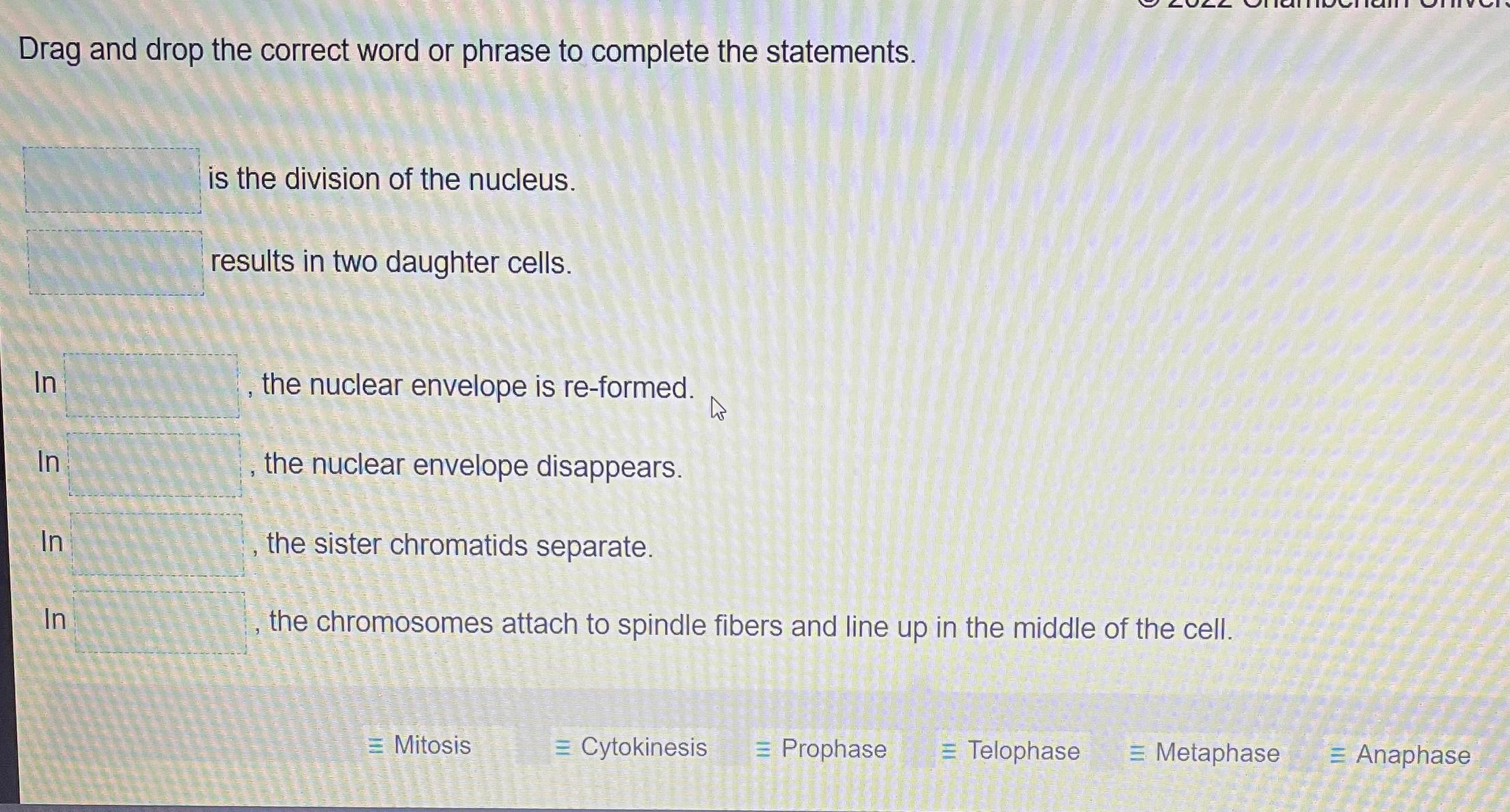 Solved Drag and drop the correct word or phrase to complete | Chegg.com