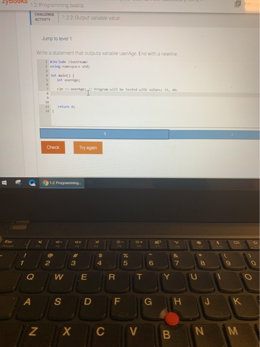 Solved Z OONS - Programing beses CHALLENGE ACTIVITY | Chegg.com