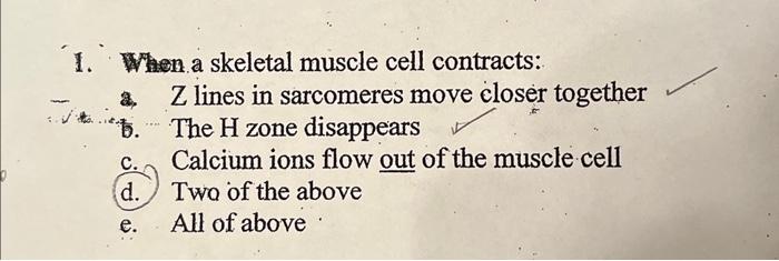 Solved 1. When a skeletal muscle cell contracts: a. Z lines | Chegg.com