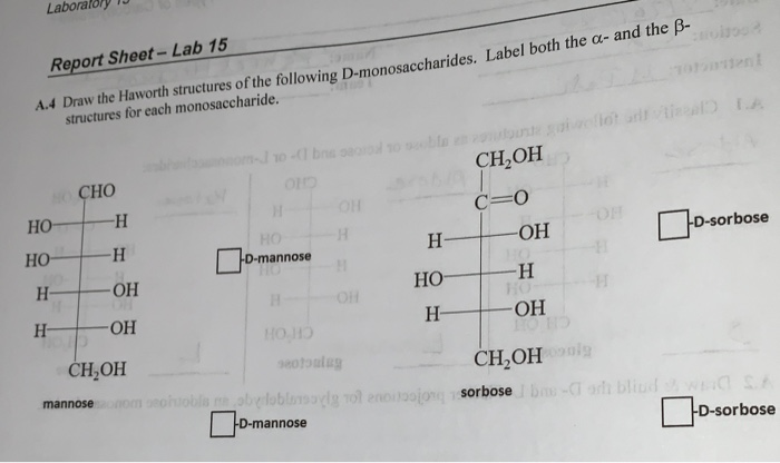 Solved Laboralory 1 Report Sheet - Lab 15 A.4 Draw the | Chegg.com