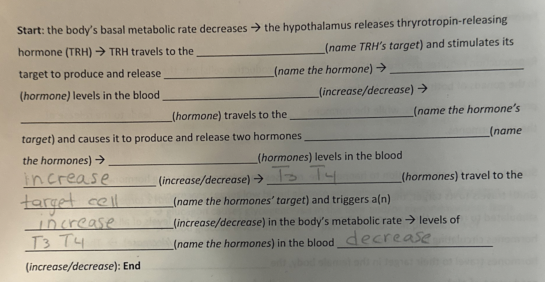 Solved Start: the body's basal metabolic rate decreases → | Chegg.com