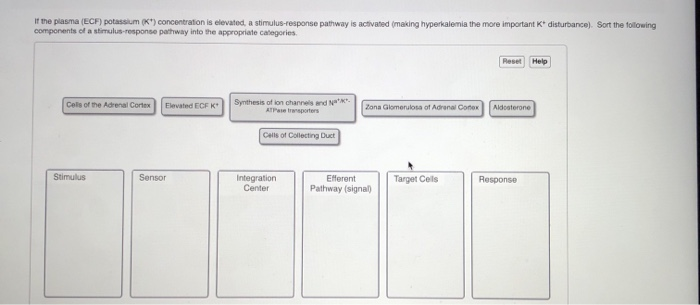Solved If the plasma (ECF) potassium (K) concentration is | Chegg.com