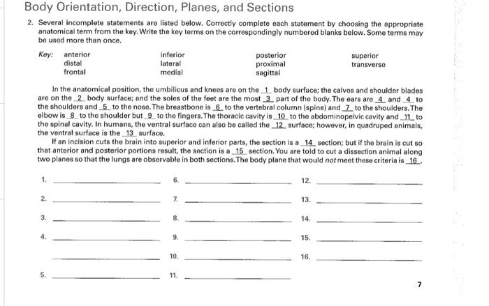 Solved Body Orientation, Direction, Planes, and Sections 2. | Chegg.com