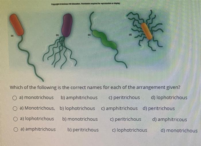 Solved Which of the following is the correct names for each | Chegg.com