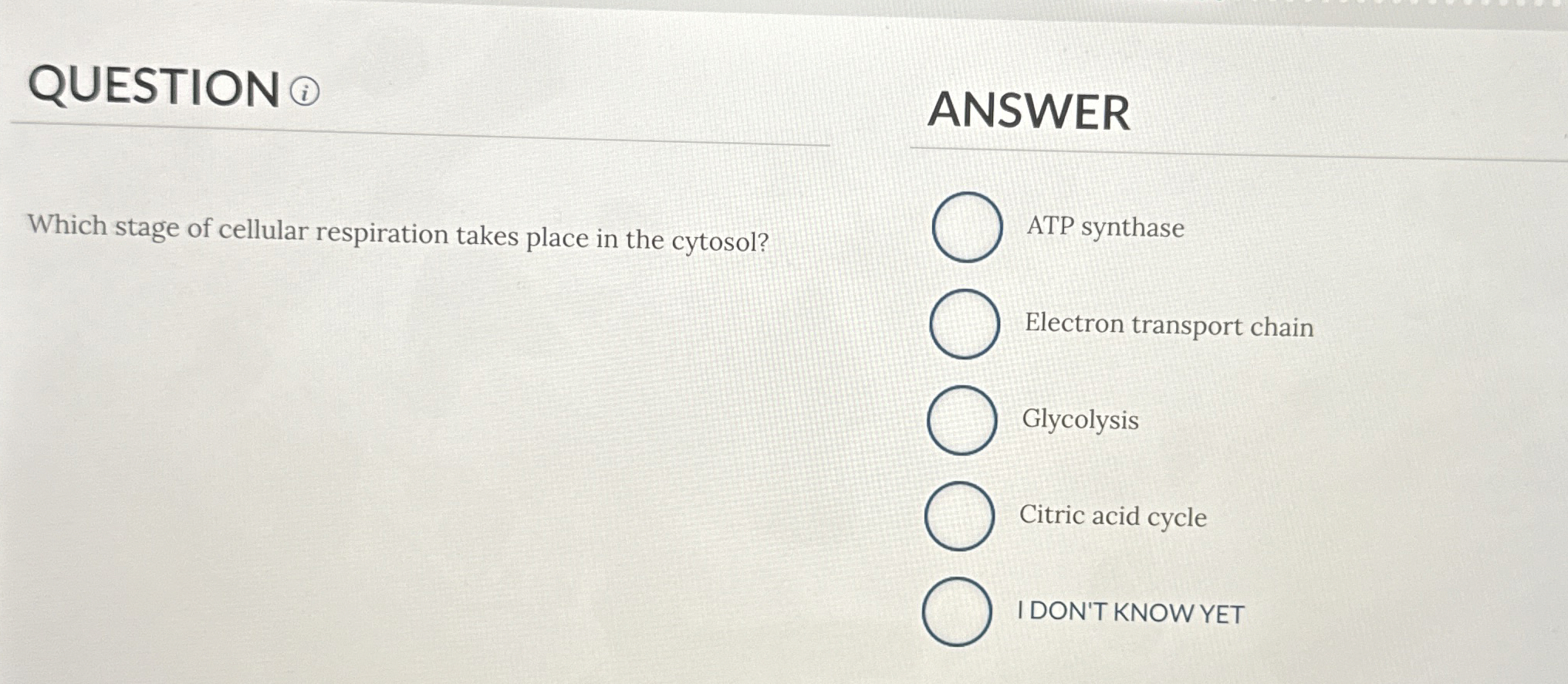 Solved ANSWERWhich stage of cellular respiration takes place | Chegg.com