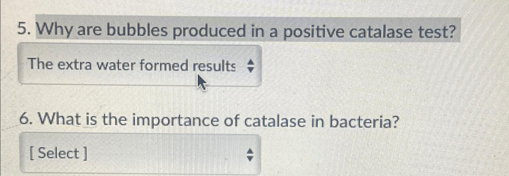 Solved Why are bubbles produced in a positive catalase | Chegg.com