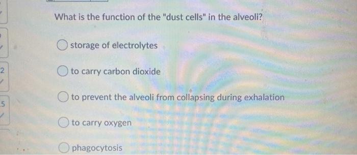 Solved What is the function of the "dust cells" in the | Chegg.com