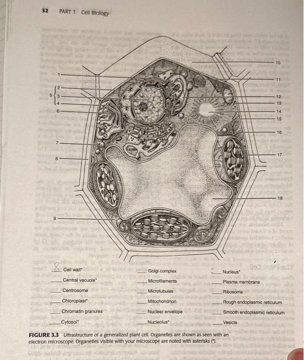 Solved 32 2 5 3 4 6 7 PART 1 Cell Biology 8 oli ap eharmo | Chegg.com