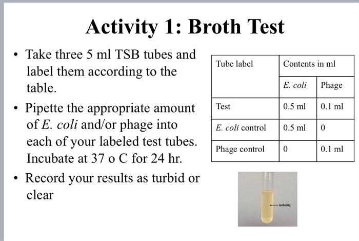 Solved Phage Activity 1: Broth Test Take three 5 ml TSB | Chegg.com