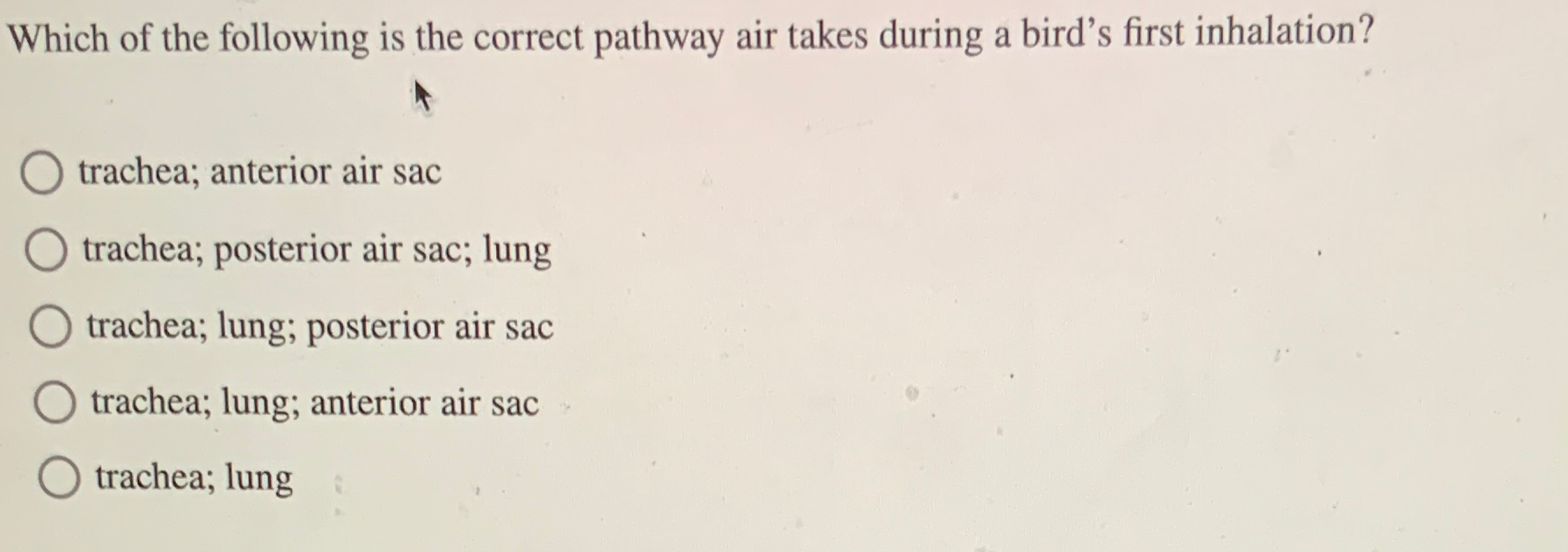 Solved Which of the following is the correct pathway air | Chegg.com