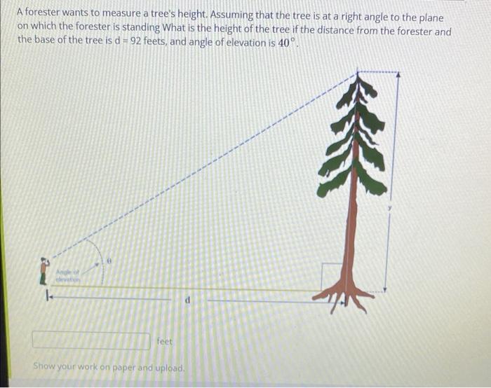Solved A forester wants to measure a tree's height. Assuming | Chegg.com