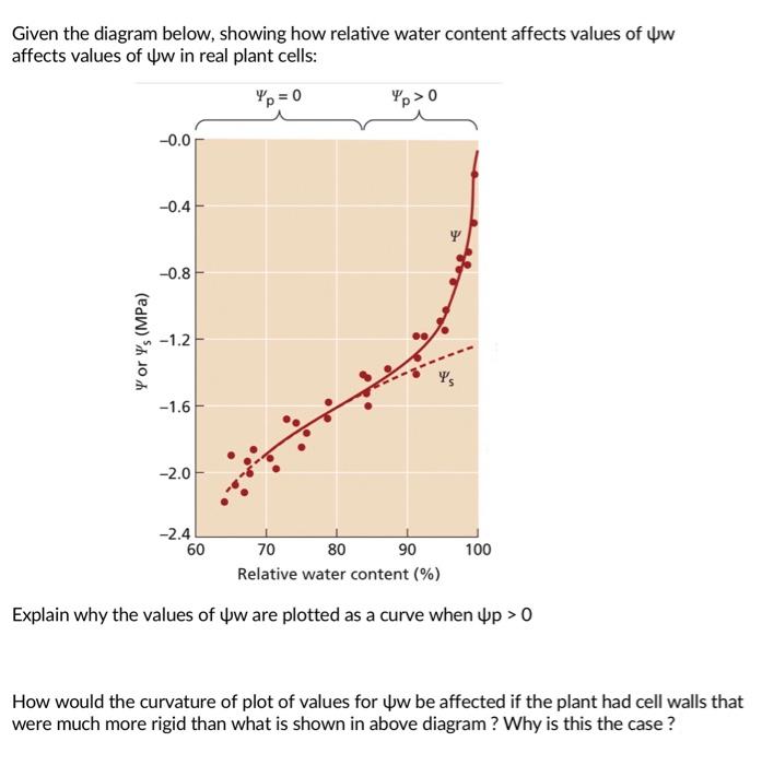 Solved Given the diagram below, showing how relative water | Chegg.com
