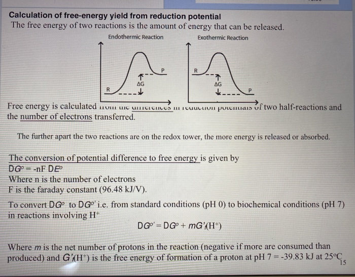 Note/Correction: The formula for pyruvate is C3H3O3- | Chegg.com