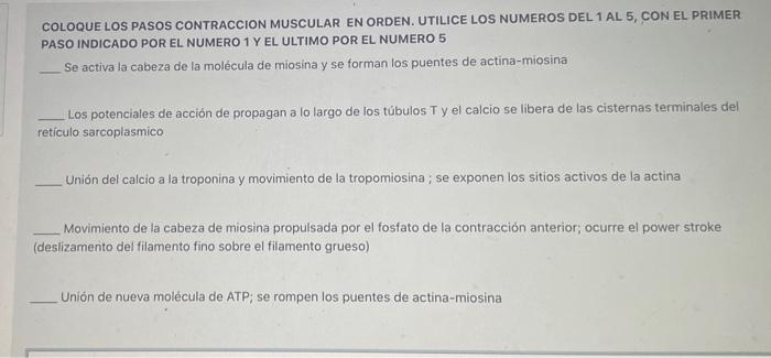 Solved Coloque Los Pasos Contraccion Muscular En Orden
