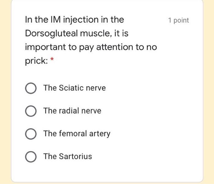Solved 1 point In the IM injection in the Dorsogluteal | Chegg.com