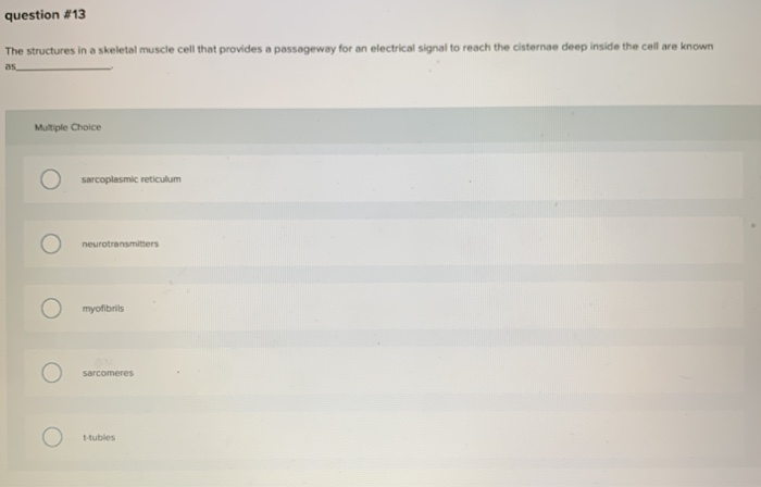 Solved what is the correct answer? You can only choose one | Chegg.com