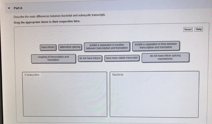 Solved Part A Describe the main differences between | Chegg.com