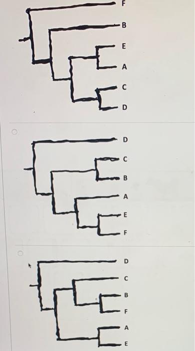 Use the following character matrix to identify the | Chegg.com