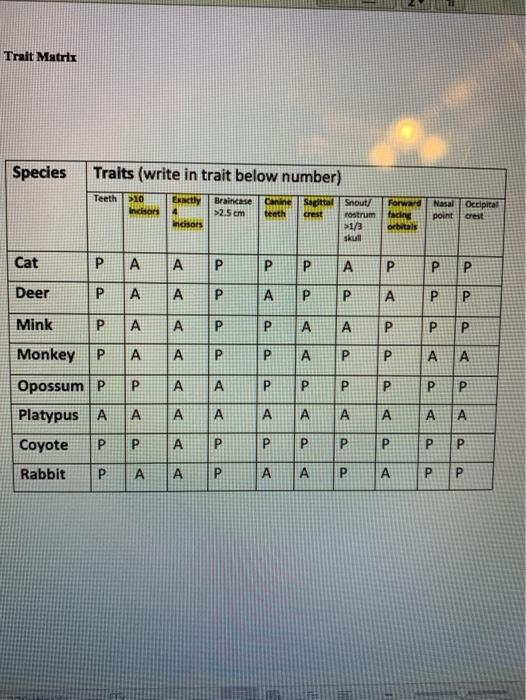 Solved Trait Matrix Species Traits (write in trait below | Chegg.com